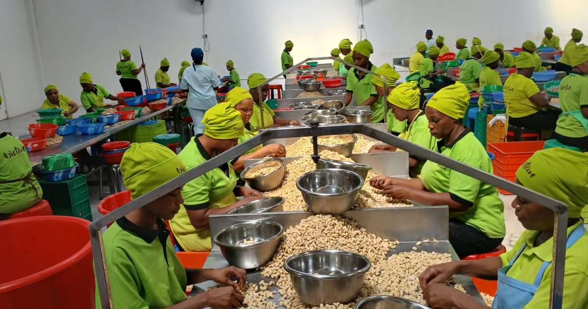 BIOTAN-SMETA - Support towards SMETA certification of a cashew nut ...