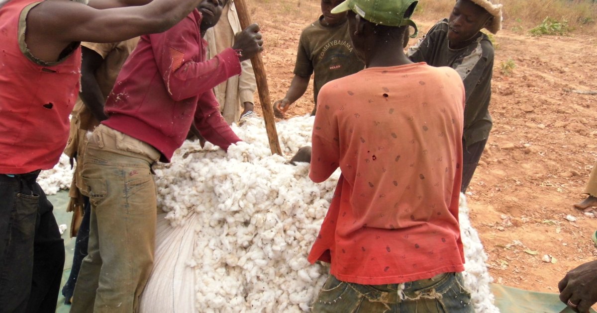 VCCOTTON - Analyse de la chaîne de valeur du coton au Bénin et étude ...