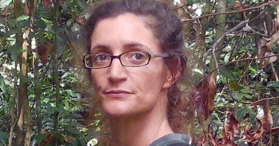 Virginie Vergnes – Nitidæ