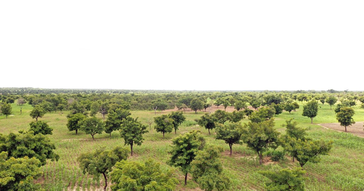 TERROIRS - Approche territoriale intégrée dans les communes rurales des ...
